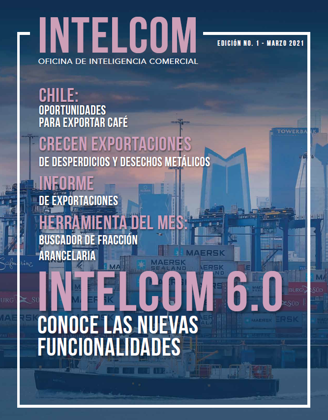 Intelcom | Informes