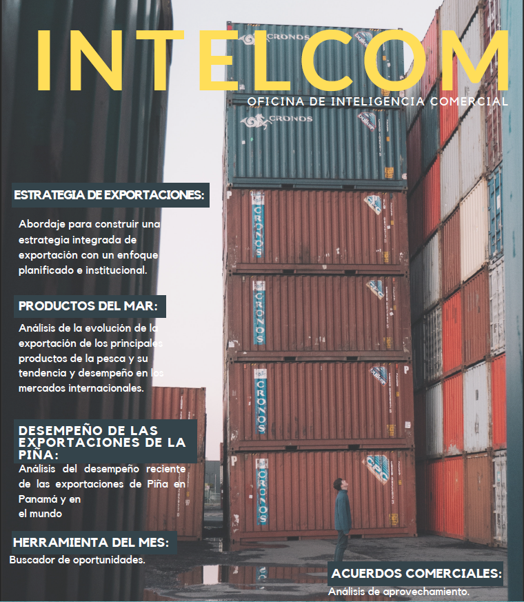 Intelcom | Informes